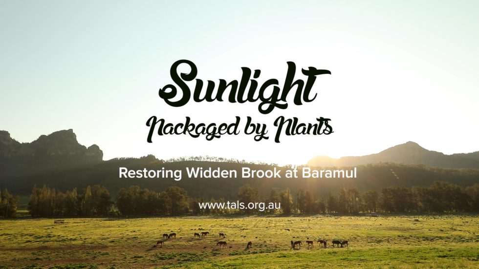 Supporting the shift towards Regenerative Agriculture